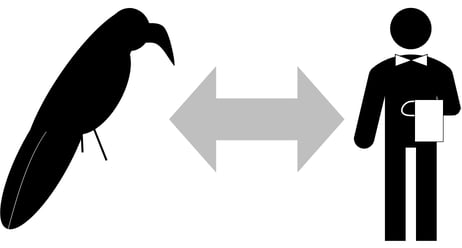 IPR and Using AI in Product Creation